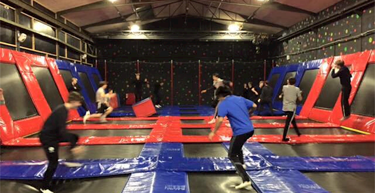 Baboon City - Discover Denmark