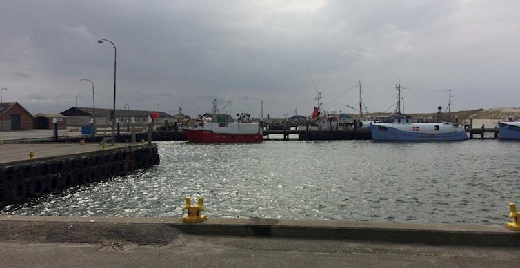 Thorsminde Havn - Discover Denmark