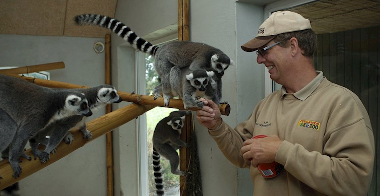 Jyllands Park Zoo - Discover Denmark